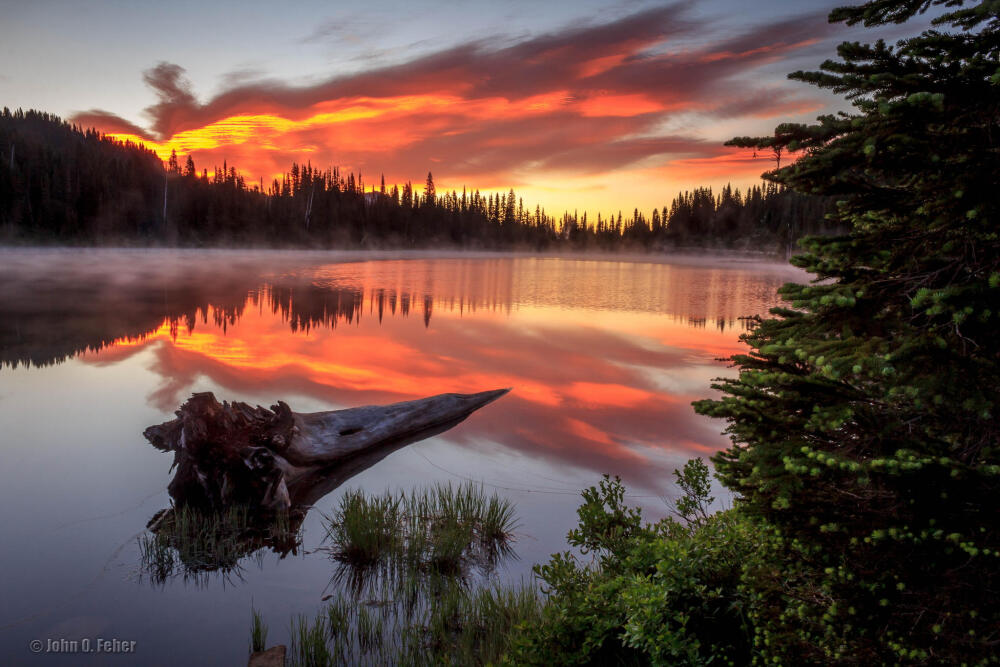 Photograph Fallen Tree by John Feher on … - 高清图片，堆糖，美图壁纸兴趣社区