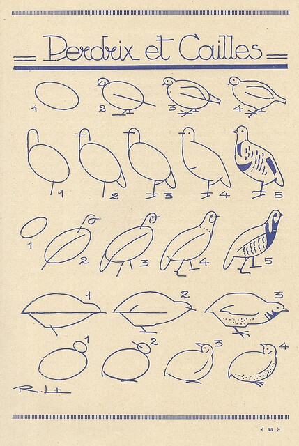 how to draw birds - french art tutorial - 高清图片，堆糖，美图壁纸兴趣社区