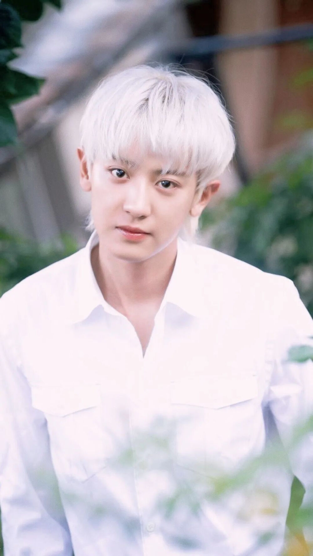 cr - 高清图片，堆糖，美图壁纸兴趣社区