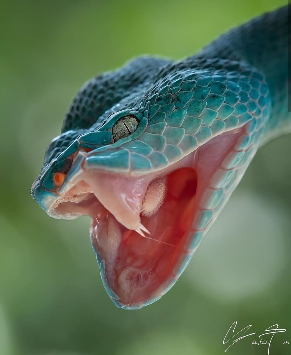 图源: Ins: yensen_tan - 堆糖，美图壁纸兴趣社区