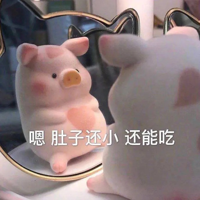 LoLo猪表情包 - 堆糖，美图壁纸兴趣社区