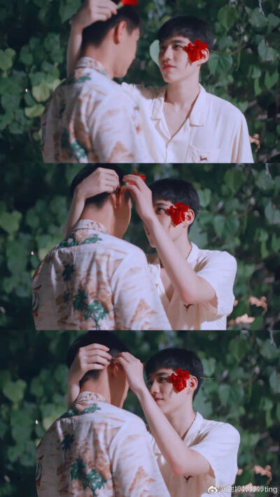 PPBK - 高清图片，堆糖，美图壁纸兴趣社区