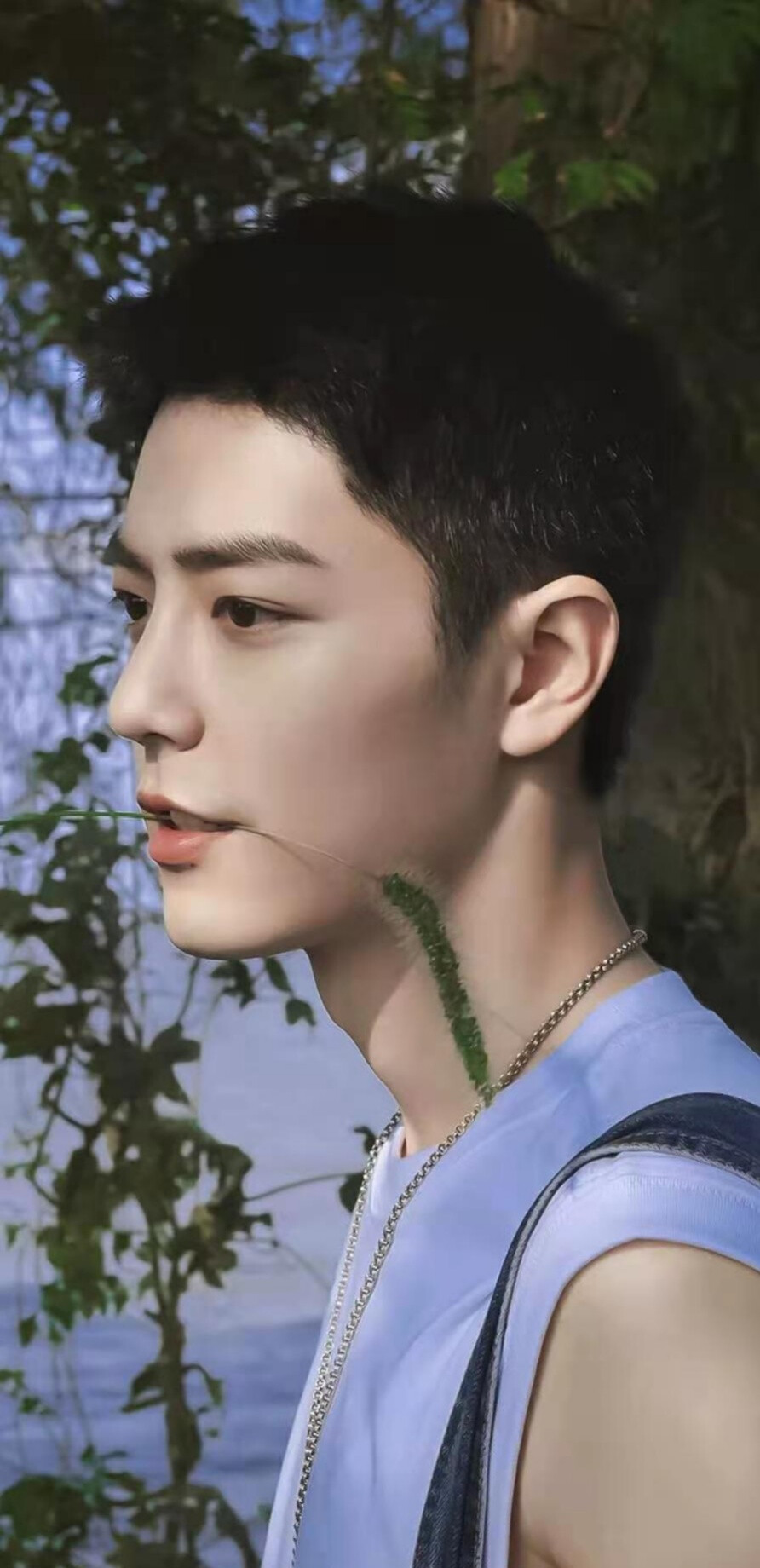 肖战壁纸 - 高清图片，堆糖，美图壁纸兴趣社区