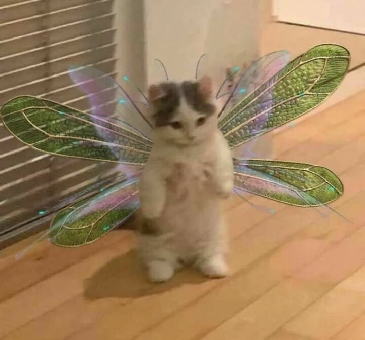 SOS - 高清图片，堆糖，美图壁纸兴趣社区