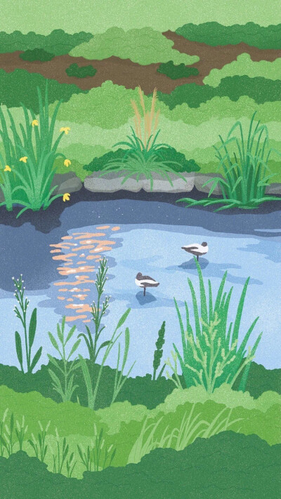 壁纸 tcr seisyun bot - 高清图片，堆糖，美图壁纸兴趣社区