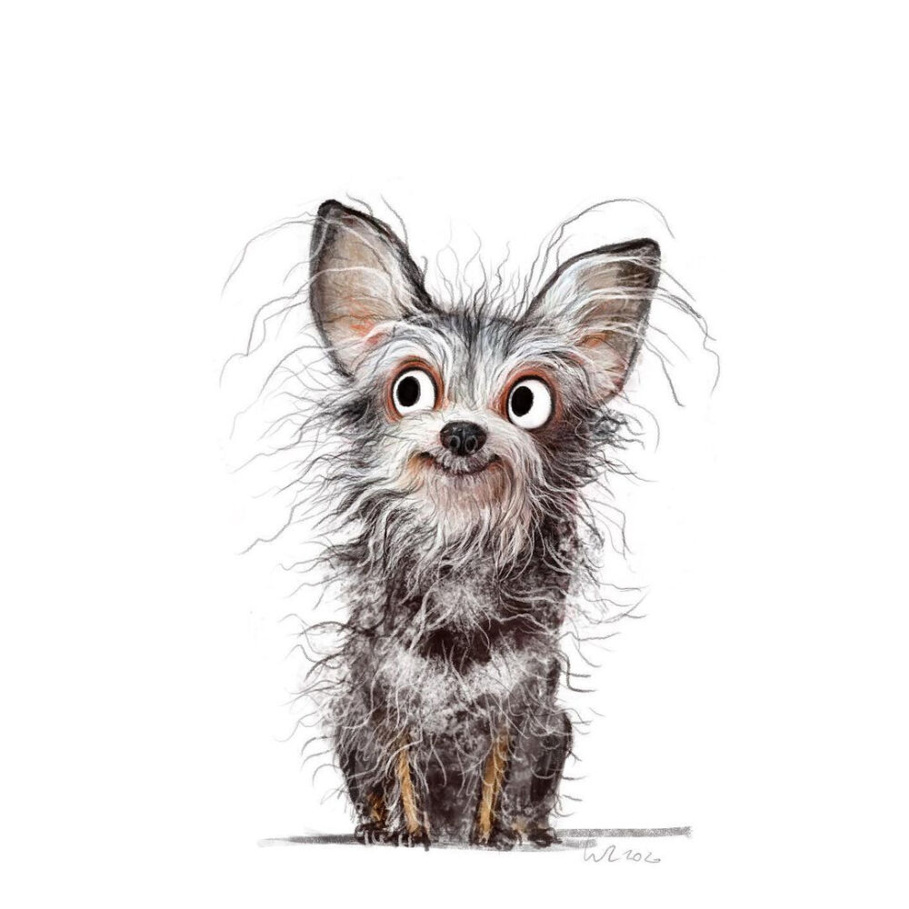 插画，插画师 Wiebke Rauers - 高清图片，堆糖，美图壁纸兴趣社区