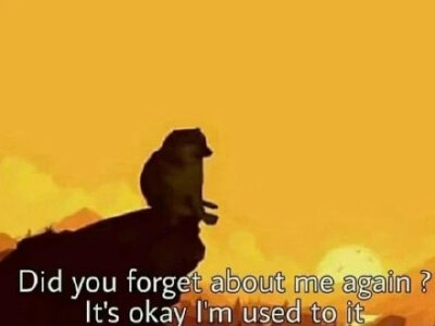 cheems - 堆糖，美图壁纸兴趣社区