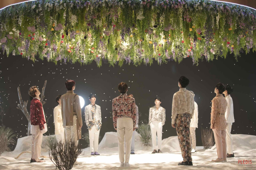 舞い落ちる花びら fallin flower - 高清图片，堆糖，美图壁纸兴趣社区