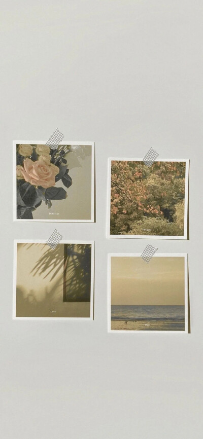 ins风电脑壁纸高清 - 高清图片，堆糖，美图壁纸兴趣社区