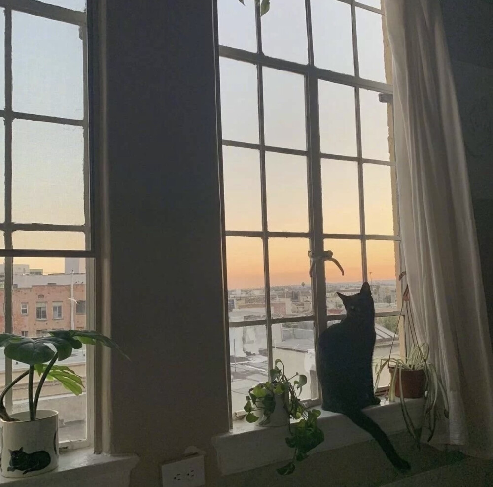 ins/背景图 - 高清图片，堆糖，美图壁纸兴趣社区