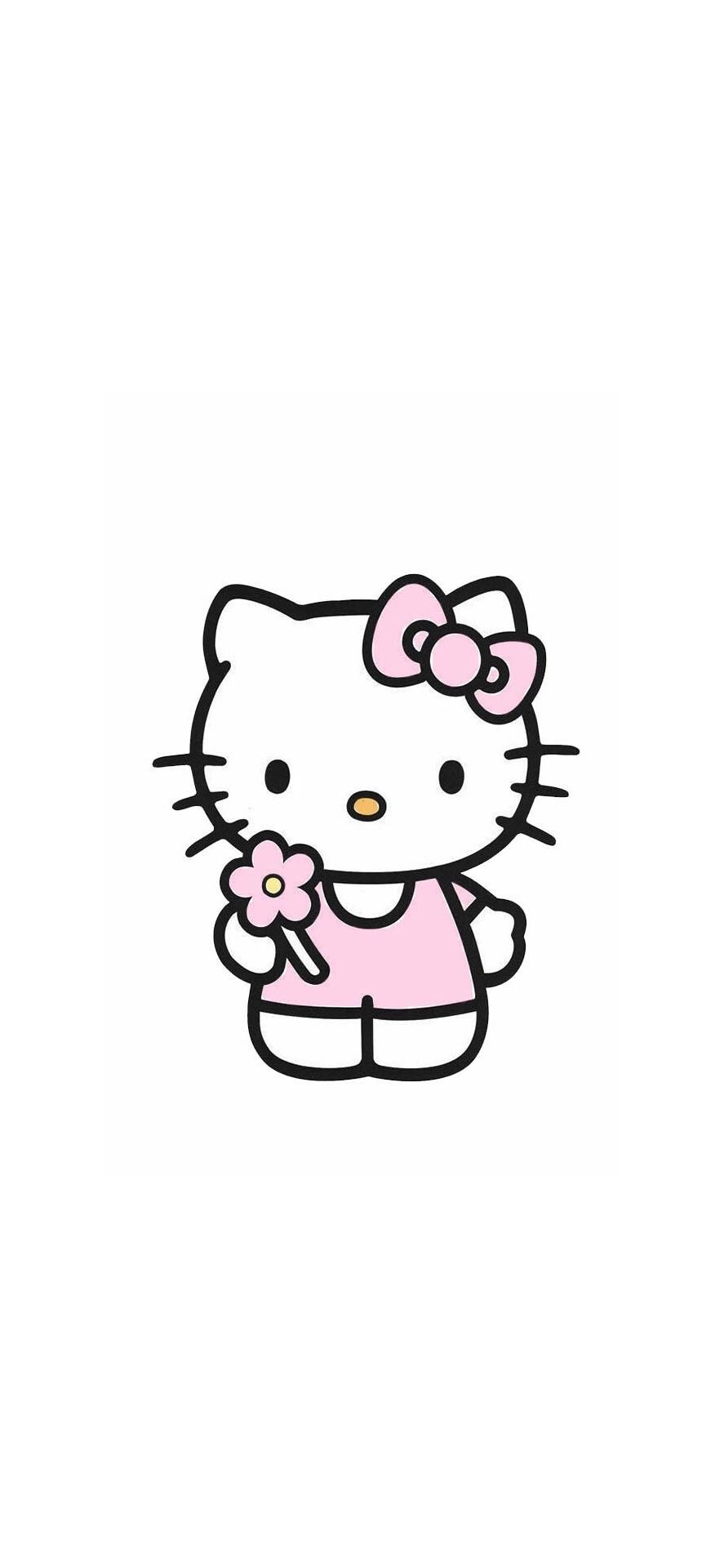 hello kitty - 高清图片，堆糖，美图壁纸兴趣社区