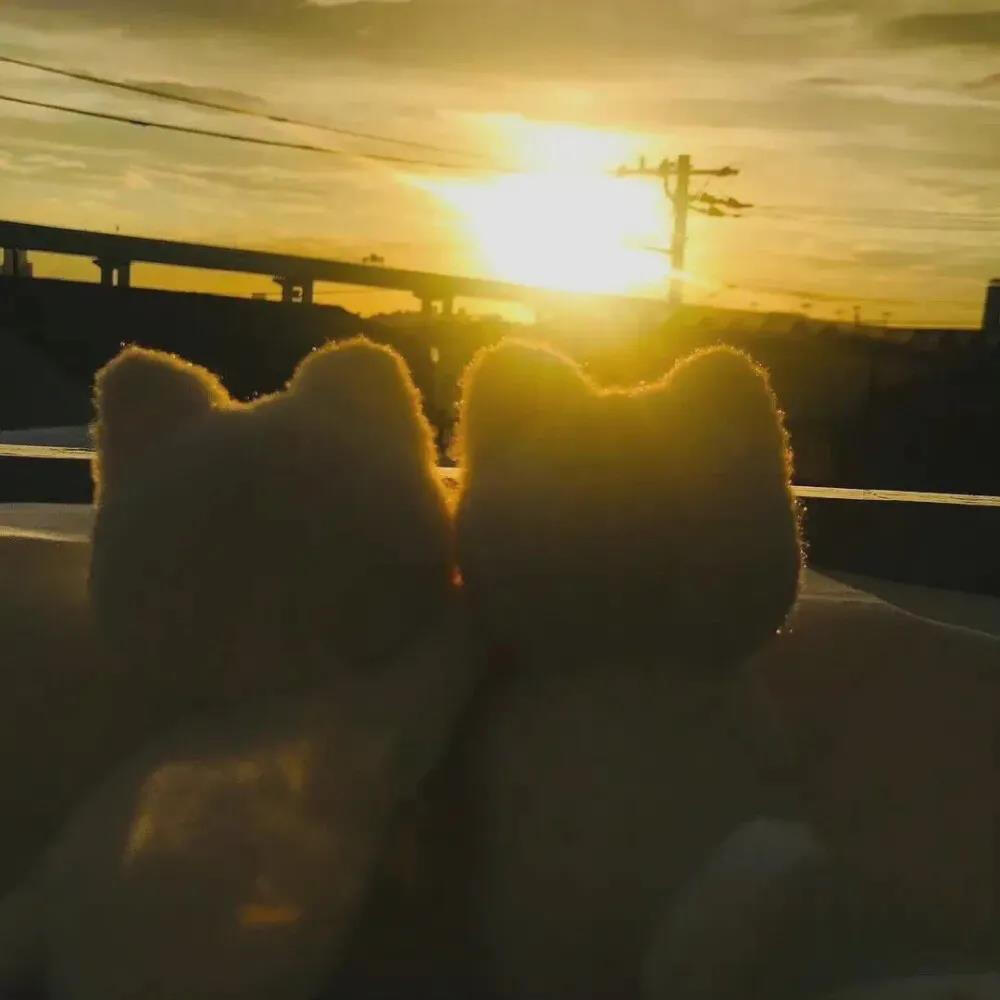 touxiang头像 - 高清图片，堆糖，美图壁纸兴趣社区