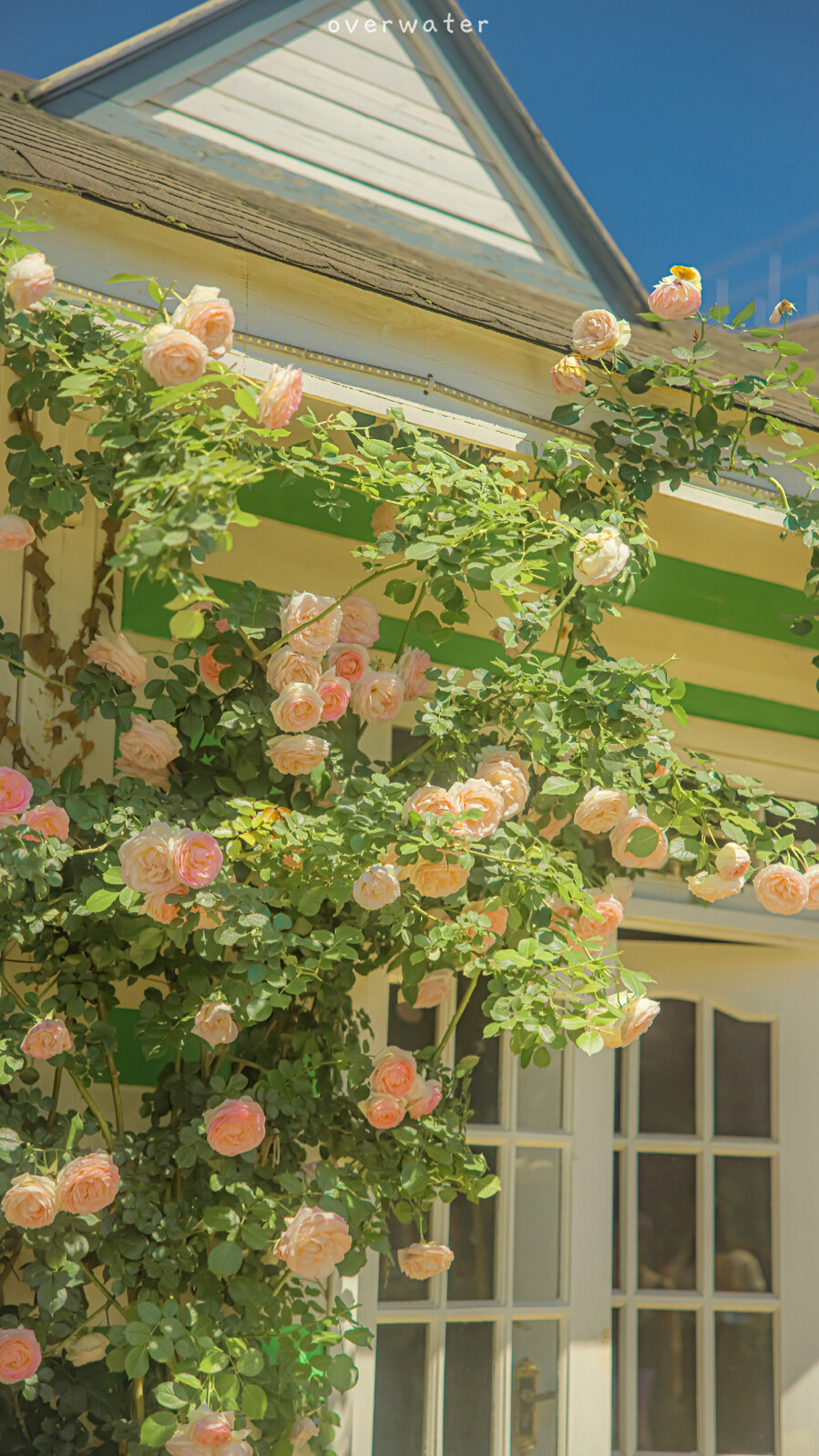 壁纸背景锁屏ins - 高清图片，堆糖，美图壁纸兴趣社区