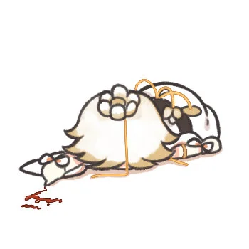 FINE - 堆糖，美图壁纸兴趣社区