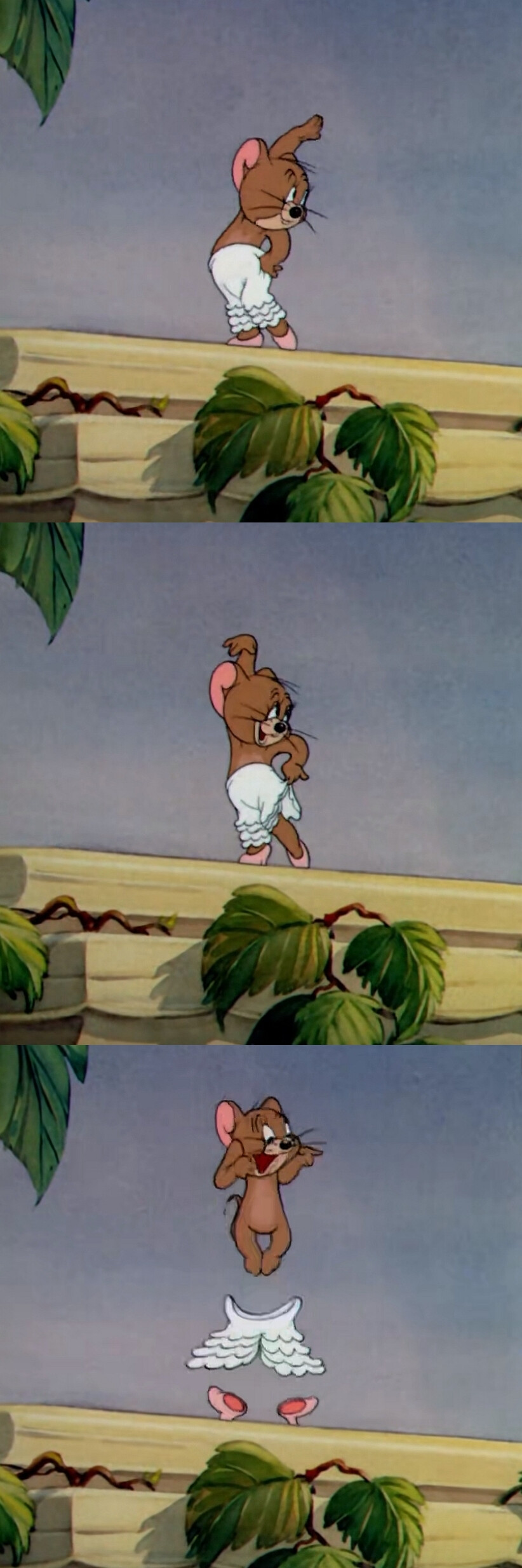 Jerry - 高清图片，堆糖，美图壁纸兴趣社区