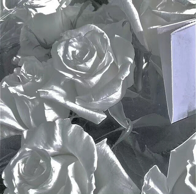 GRey 背景图 - 高清图片，堆糖，美图壁纸兴趣社区