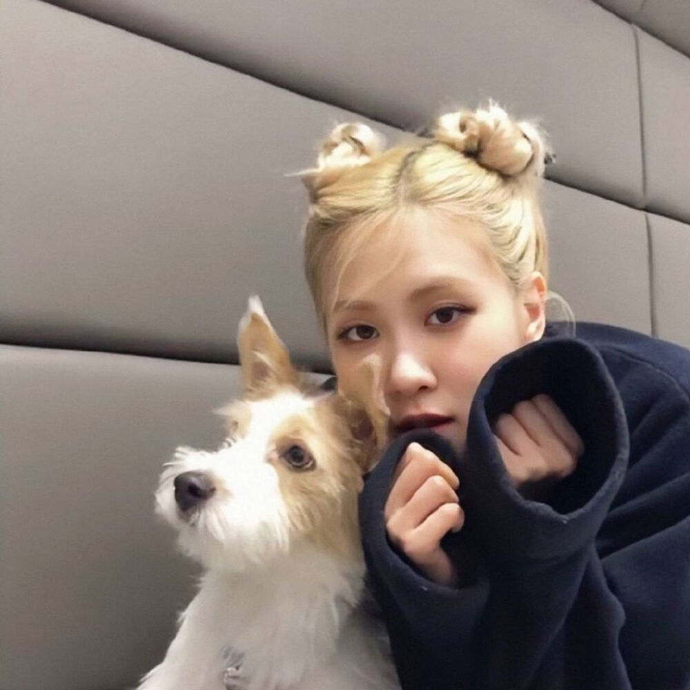 ROSE - 高清图片，堆糖，美图壁纸兴趣社区