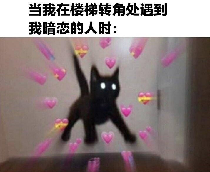 Meme 高清图片,堆糖,美图壁纸兴趣社区