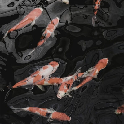 pyq背景 - 高清图片，堆糖，美图壁纸兴趣社区