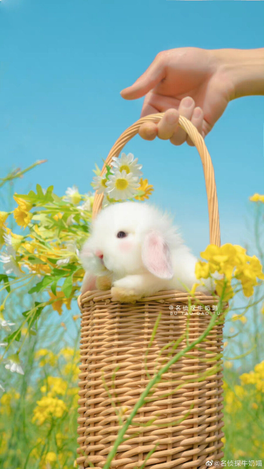 可爱壁纸 - 高清图片，堆糖，美图壁纸兴趣社区