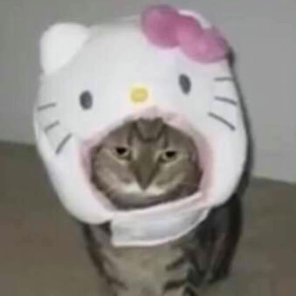 可爱头像 - 高清图片，堆糖，美图壁纸兴趣社区