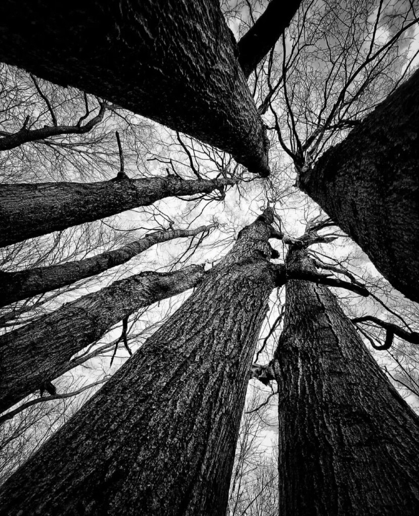 xhs - 堆糖，美图壁纸兴趣社区