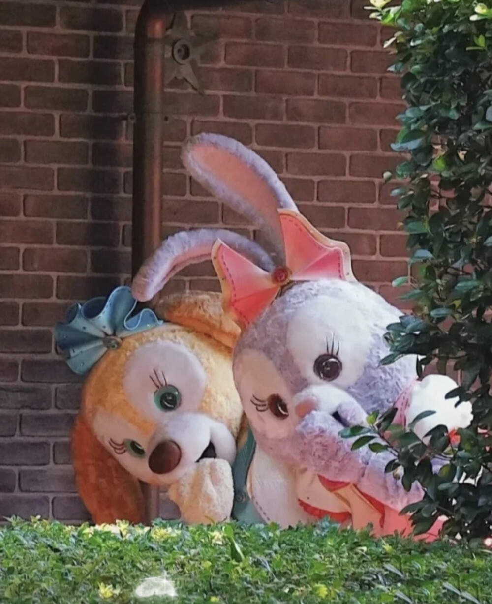 迪士尼 可琦安 CookieAnn 星黛露 Stell… - 高清图片，堆糖，美图壁纸兴趣社区