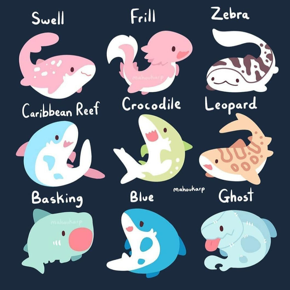 162款萌宠插画，来自mahoukarp - 高清图片，堆糖，美图壁纸兴趣社区