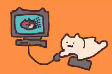 EverydayOneCat（沙雕猫） - 高清图片，堆糖，美图壁纸兴趣社区