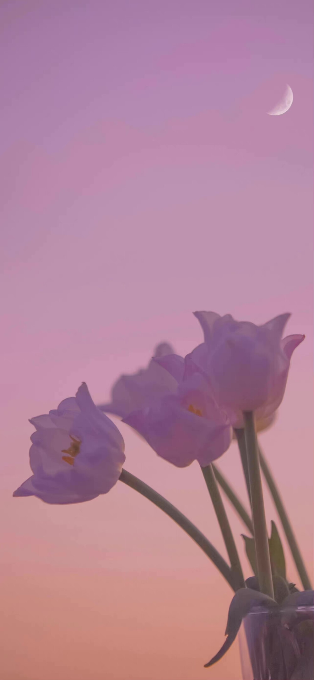 h h b h h - 高清图片，堆糖，美图壁纸兴趣社区