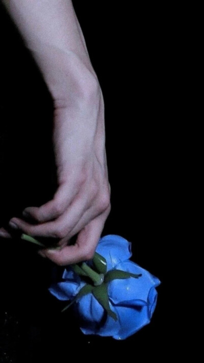 Bhhhh - 高清图片，堆糖，美图壁纸兴趣社区