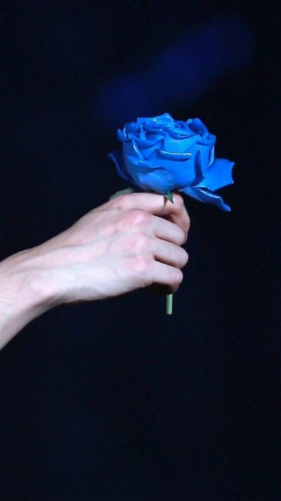 Bhhhh - 高清图片，堆糖，美图壁纸兴趣社区