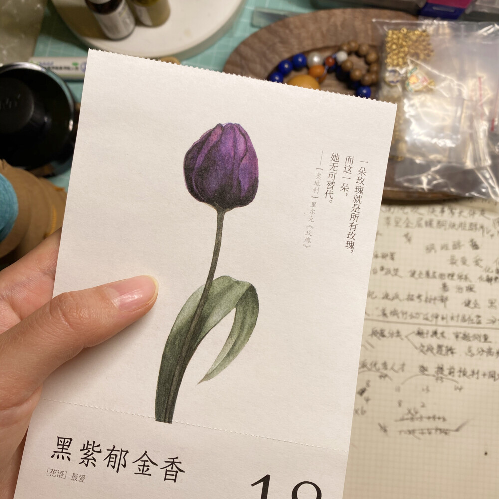 Per aspera ad astra - 高清图片，堆糖，美图壁纸兴趣社区