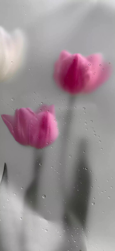 We heart it # - 高清图片，堆糖，美图壁纸兴趣社区