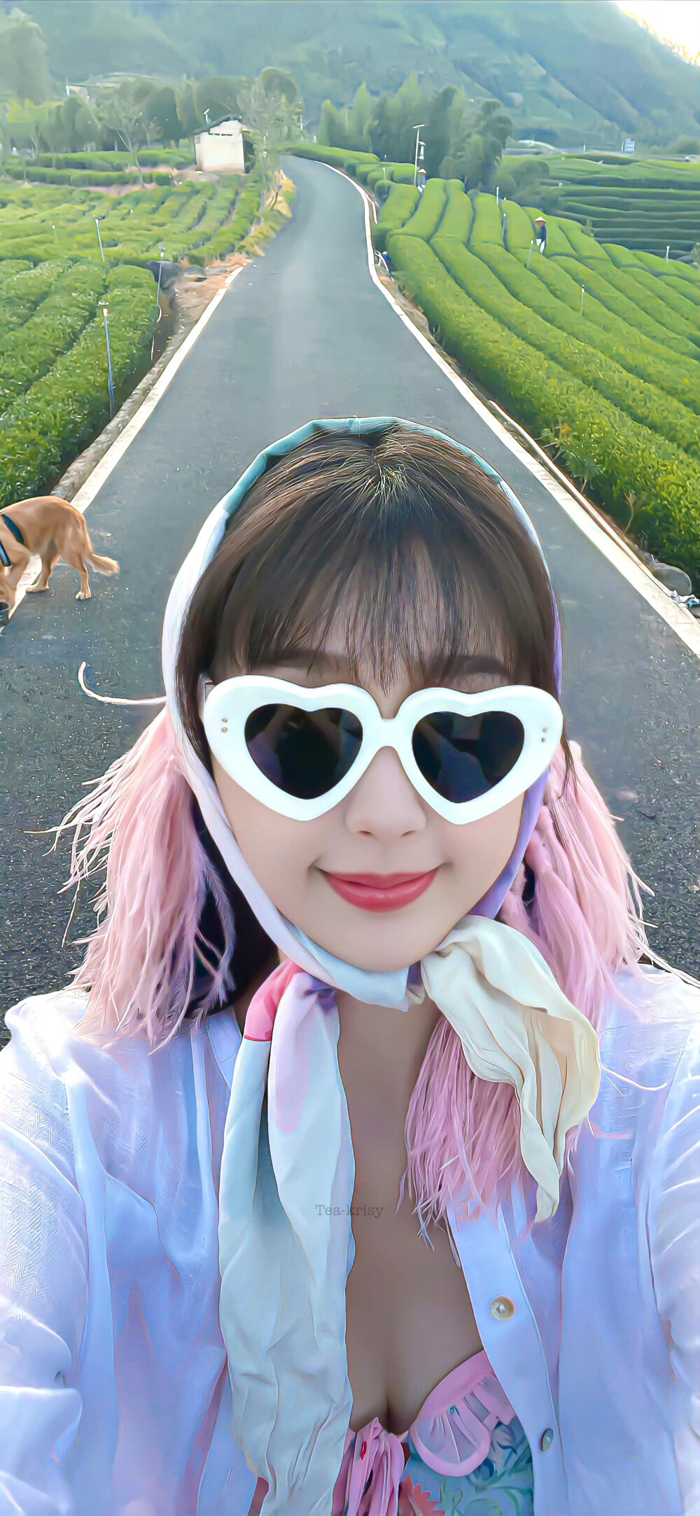 虞书欣の壁纸大放送 cr.Tea-krisy - 高清图片，堆糖，美图壁纸兴趣社区