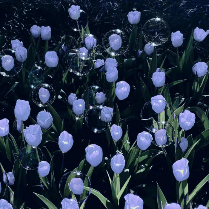 你一定會是某人翹首以盼的驚喜 - 高清图片，堆糖，美图壁纸兴趣社区