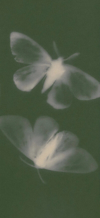 We heart it # - 高清图片，堆糖，美图壁纸兴趣社区