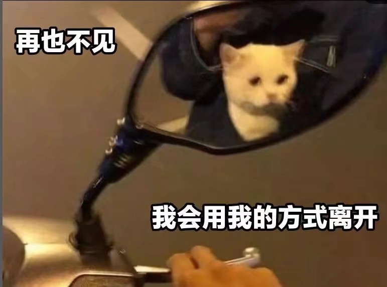 猹 表情包 - 堆糖，美图壁纸兴趣社区
