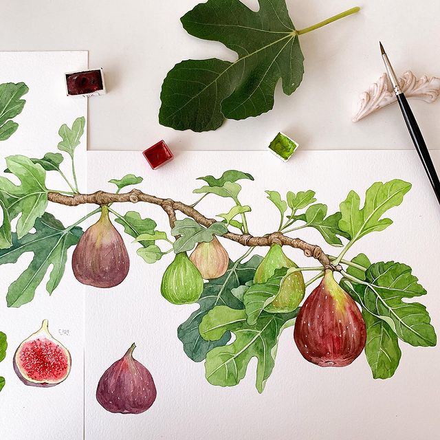 ins：dang_go - 高清图片，堆糖，美图壁纸兴趣社区