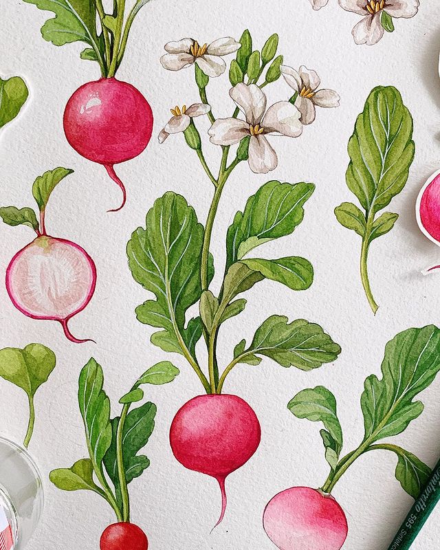 ins：dang_go - 高清图片，堆糖，美图壁纸兴趣社区