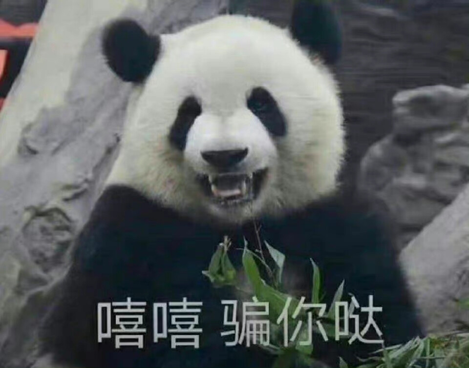 熊猫表情包 - 高清图片，堆糖，美图壁纸兴趣社区