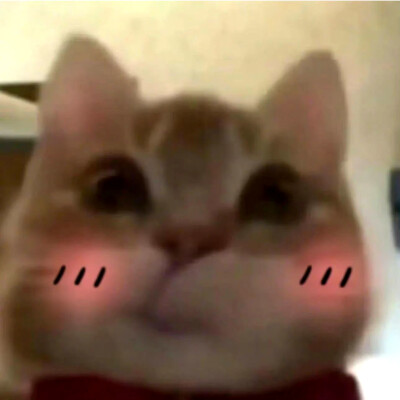 gogogo出发咯表情包 - 高清图片，堆糖，美图壁纸兴趣社区