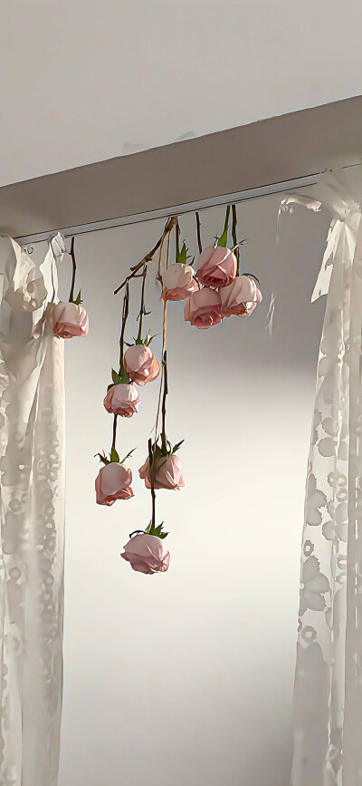 kakalaka - 堆糖，美图壁纸兴趣社区