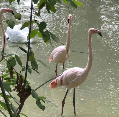 kakalaka - 堆糖，美图壁纸兴趣社区