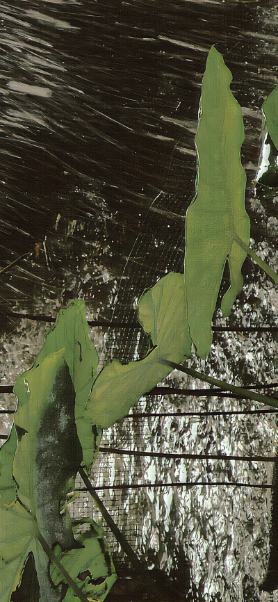 kakalaka - 堆糖，美图壁纸兴趣社区