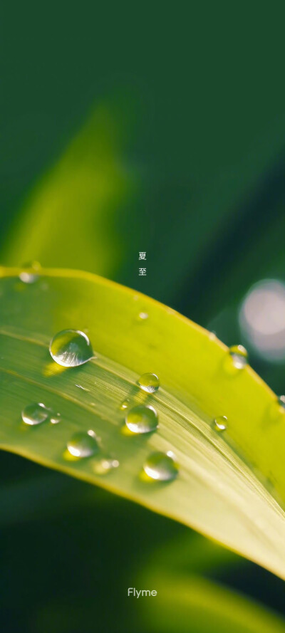 Flyme壁纸 - 堆糖，美图壁纸兴趣社区