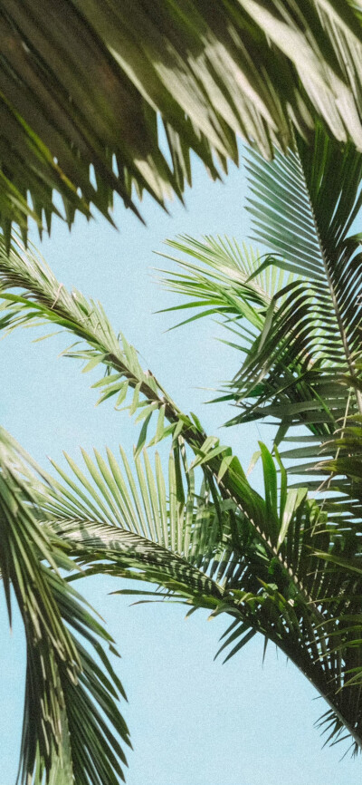 che - 高清图片，堆糖，美图壁纸兴趣社区