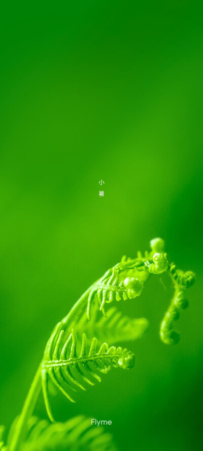 Flyme壁纸 - 堆糖，美图壁纸兴趣社区