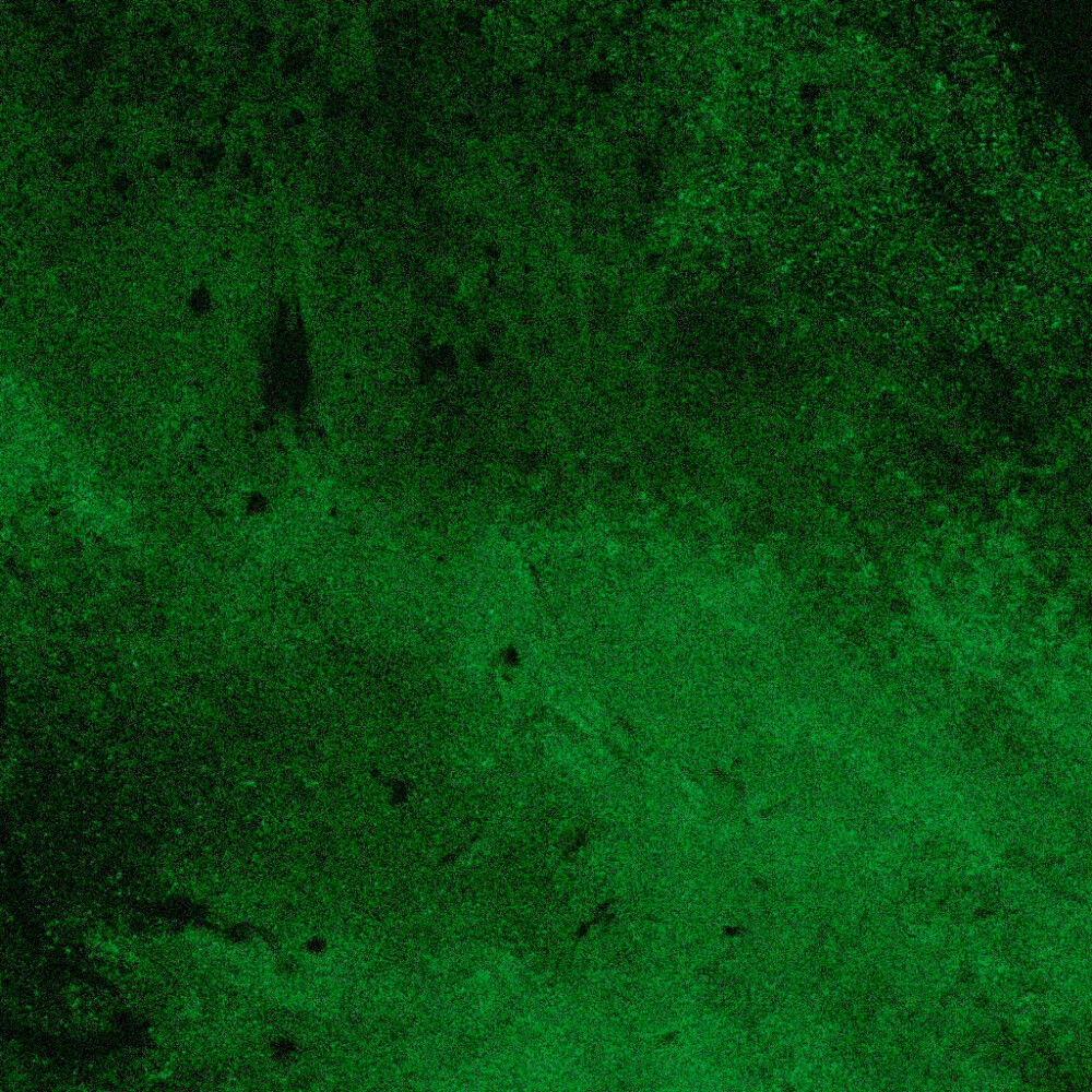 xhs/wb：ireeex（仅喜欢自用） - 高清图片，堆糖，美图壁纸兴趣社区