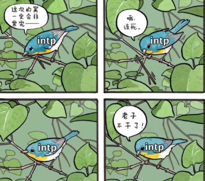 INTP - 高清图片，堆糖，美图壁纸兴趣社区